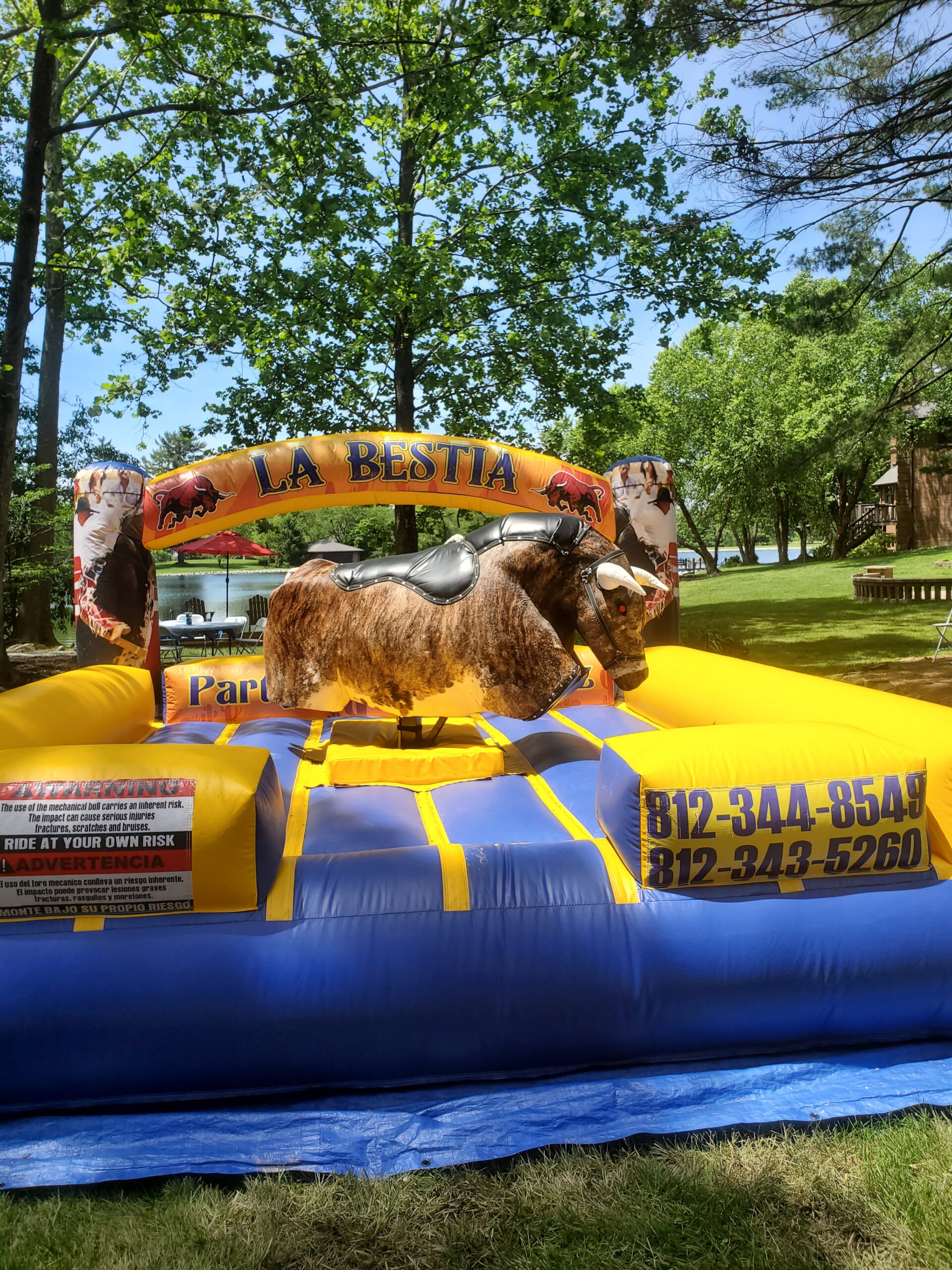 Mechanical bull - PARTY RENTAL VAZQUEZ